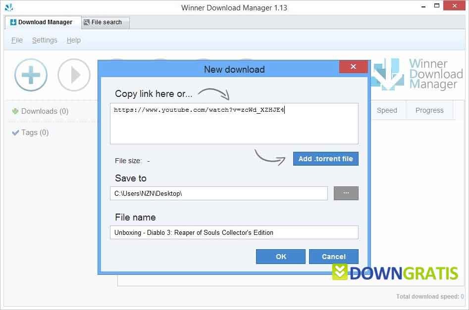 Winner Download Manager - Gerenciador de Downloads - DownGratis